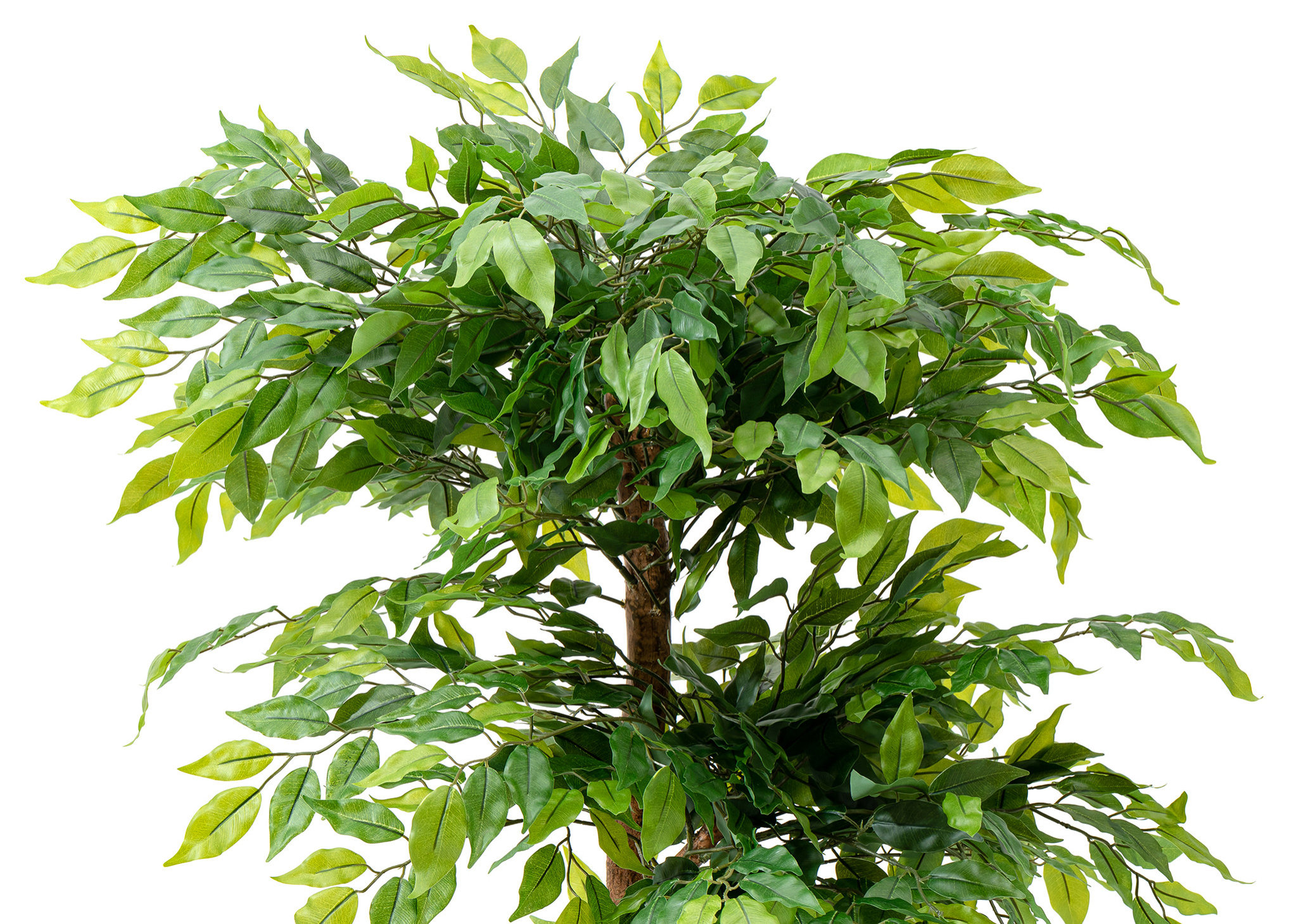 5' Creative Shaped Faux Ficus Tree in Pot - Traditional - Artificial ...