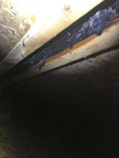 Rotten roof sheathing during winter