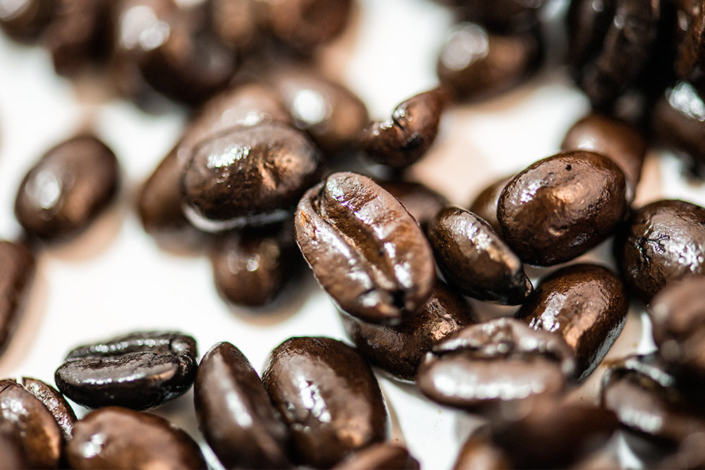 "Java", 20" x 30" - Farmhouse - Prints And Posters - by JVA Art Group ...