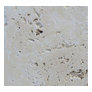 Durango Travertine Tiles, Tumbled Finish, Sample - Traditional - Wall ...