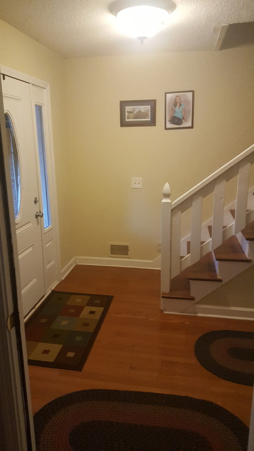 new home, dead walls. color?