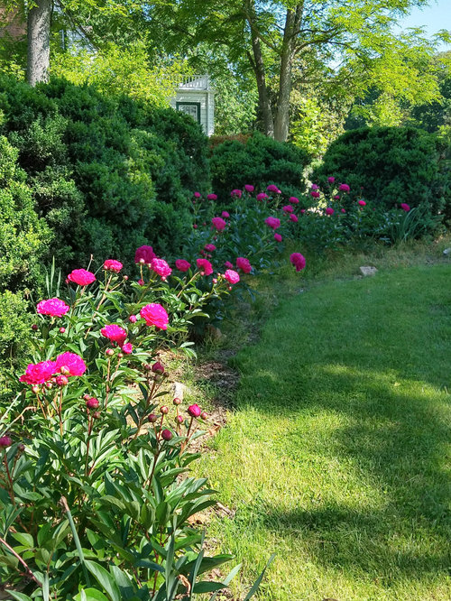 Random Garden Photos