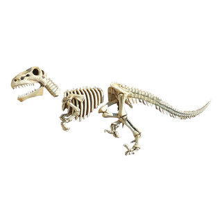 Raptor Skeleton - Eclectic - Garden Statues And Yard Art - by ...