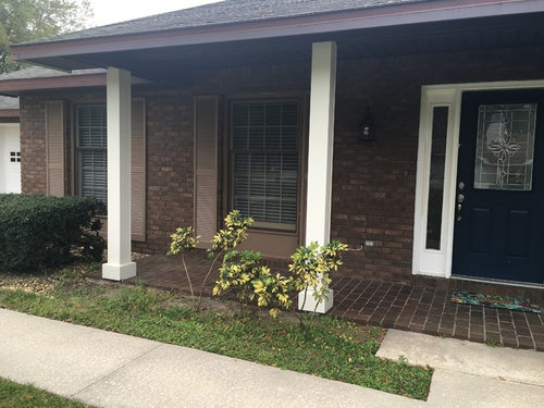 Landscape Ideas for our fixer upper!