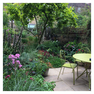 Plant Filled Hackney Garden - Traditional - Landscape - London - by ...