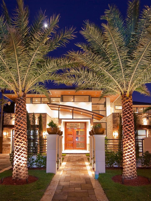 Entrance Tree House