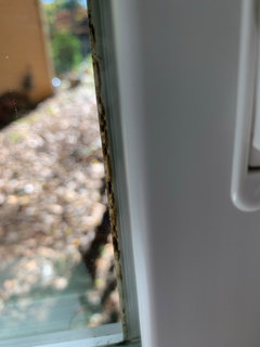 Slocomb Windows ( reviews)