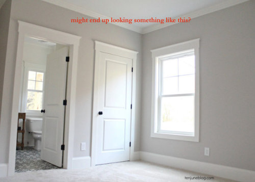 Can I combine 2 panel colonial door with craftsman door trim?