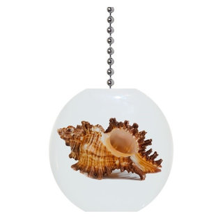 Seashell Cockleshell Ceiling Fan Pull - Beach Style - Ceiling Fan ...