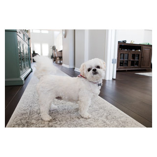 Catura Signature | Modin Rigid LVP Collection Customer Space | TX ...