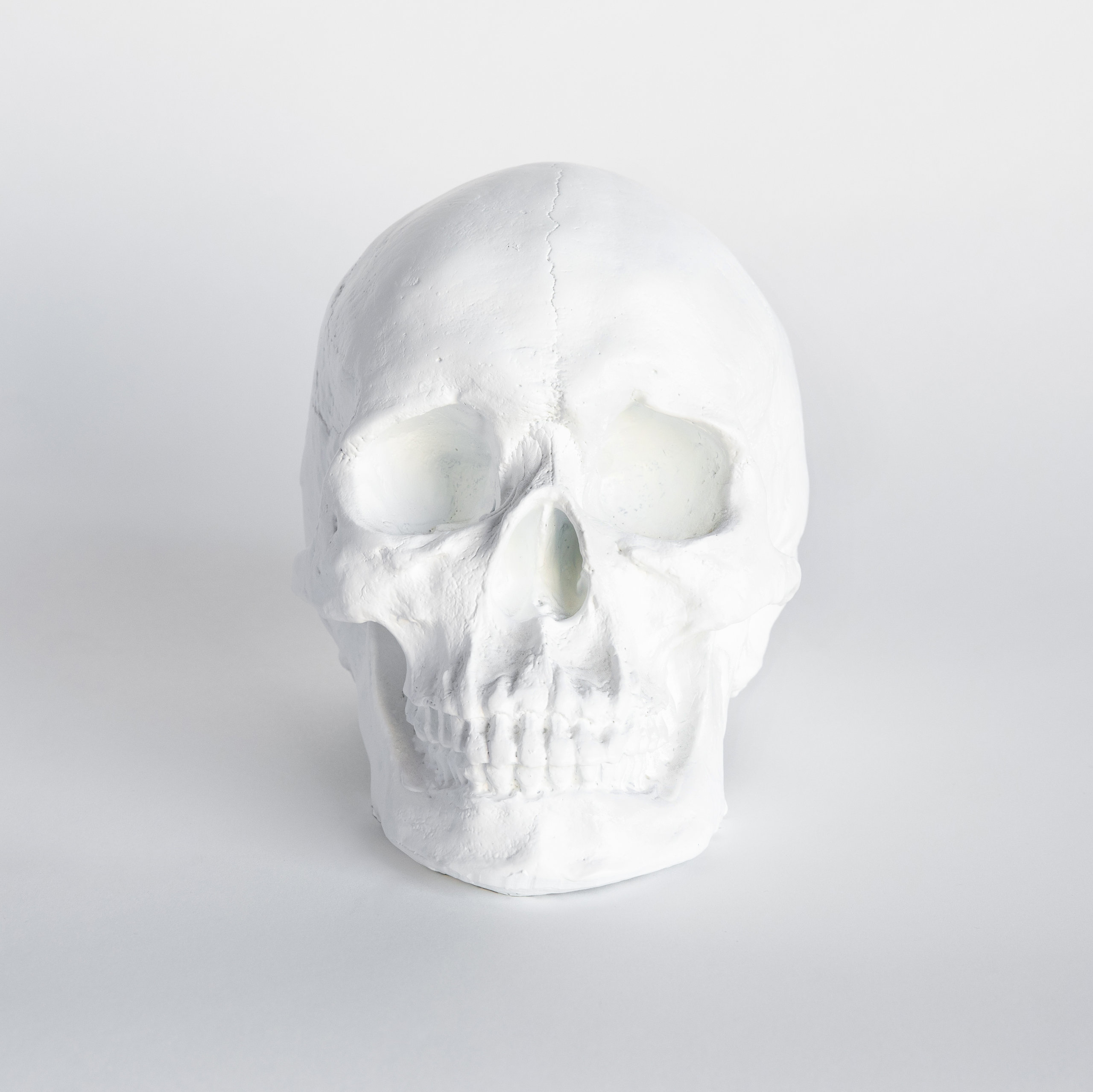 Faux Human Skull, Resin Home Decor, Table Top Skeleton Head - Eclectic ...
