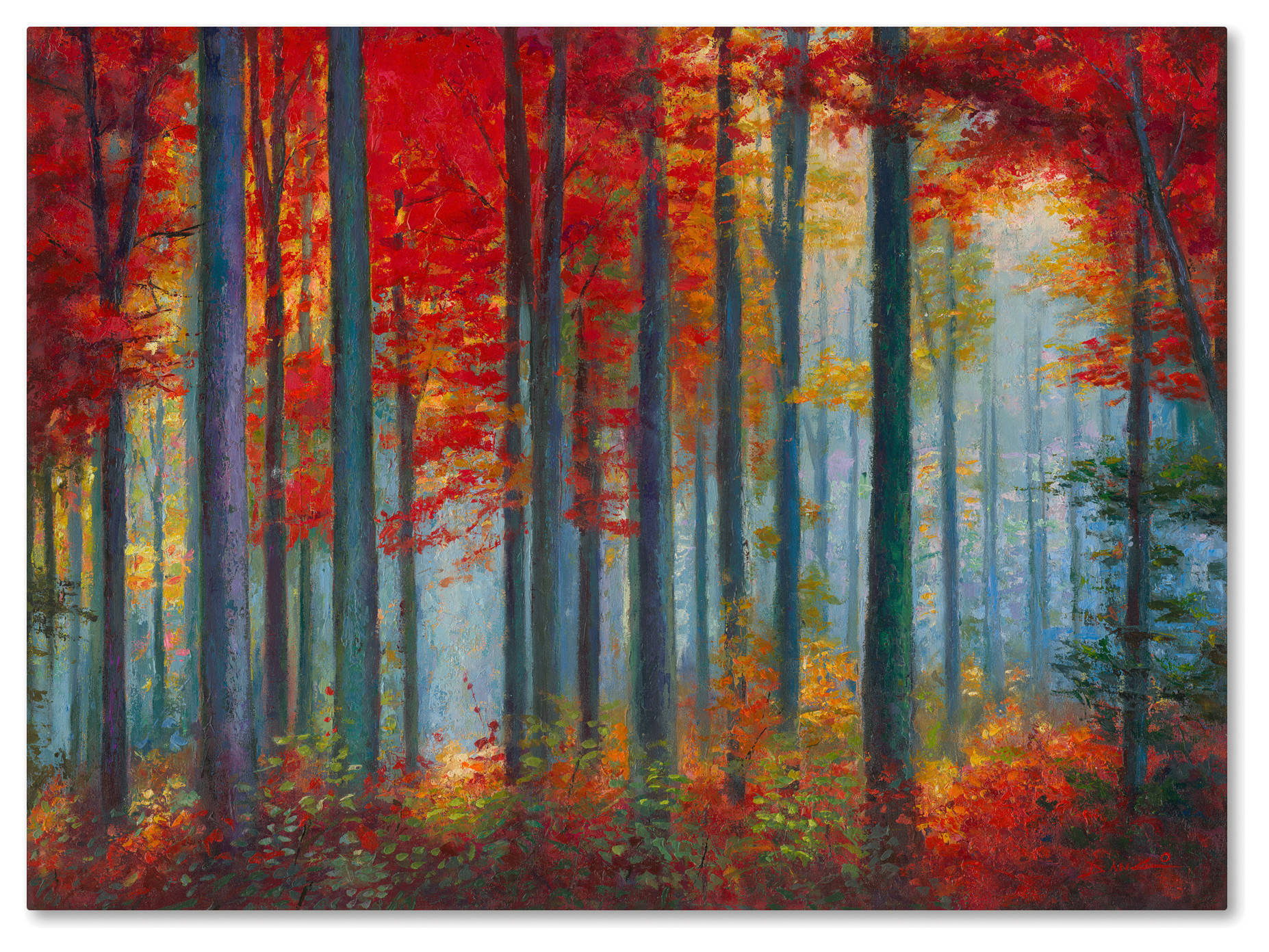 Daniel Moises 'Red Foreset' Canvas Art, 47 x 35 - Contemporary - Prints ...
