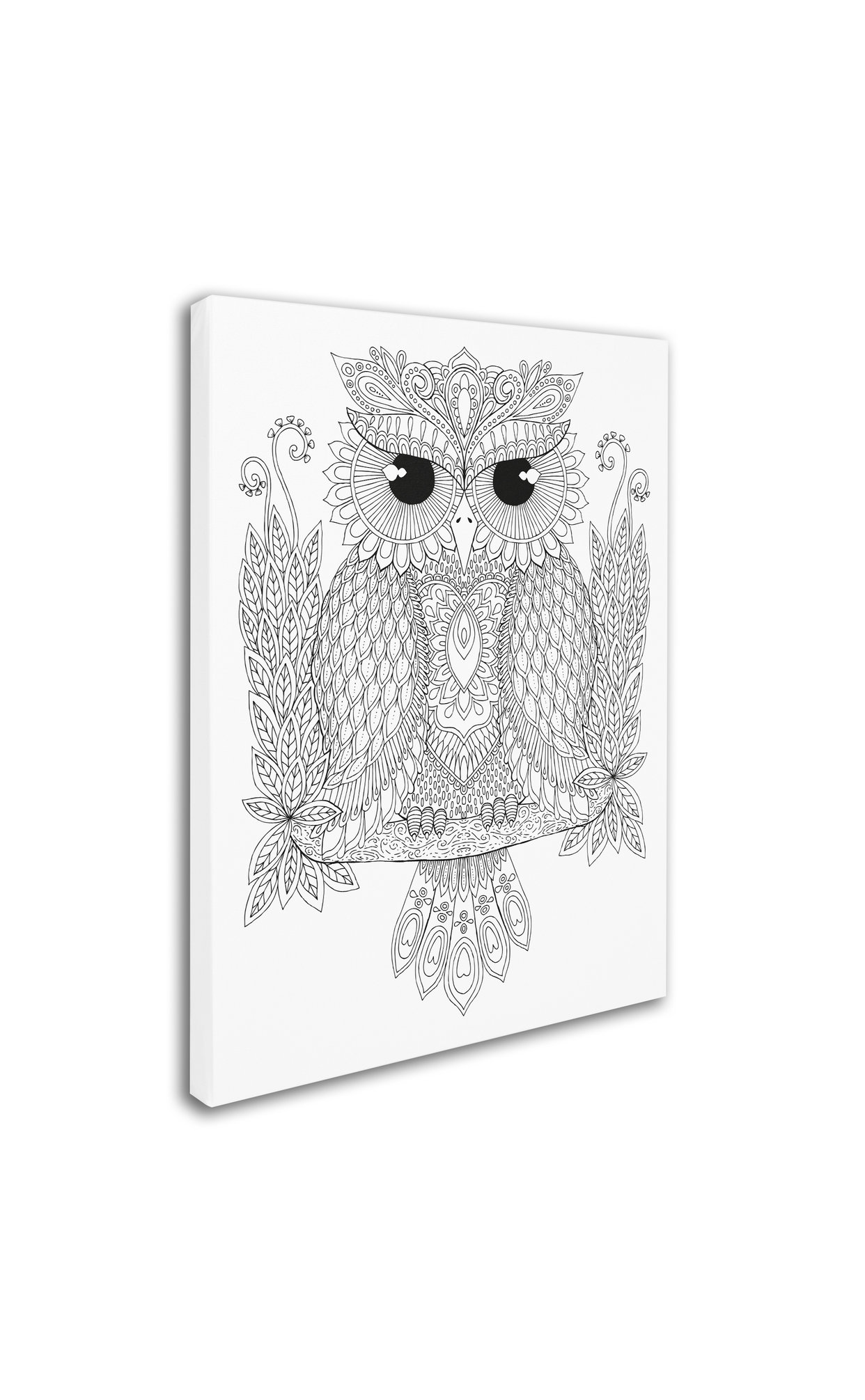 Hello Angel 'Night Owls 1' Canvas Art, 47"x35" - Rustic - Prints And ...