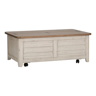 Storage Trunk - Contemporary - Accent Chests And Cabinets - by Bison ...