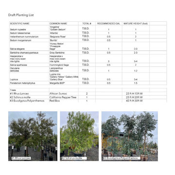 75 Desert Landscaping Ideas You'll Love - March, 2025 | Houzz