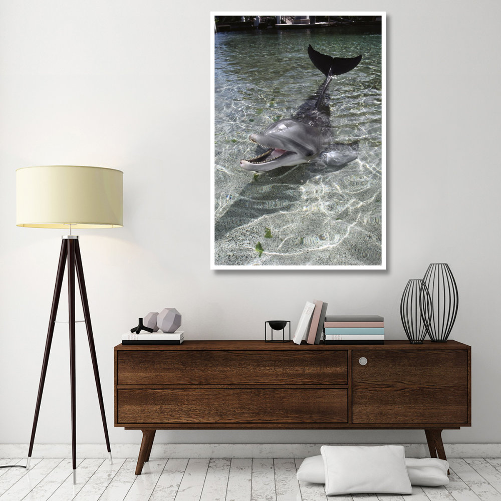 "Dusky Dolphin pair surfacing, New Zealand" Paper Print by Flip Nicklin ...
