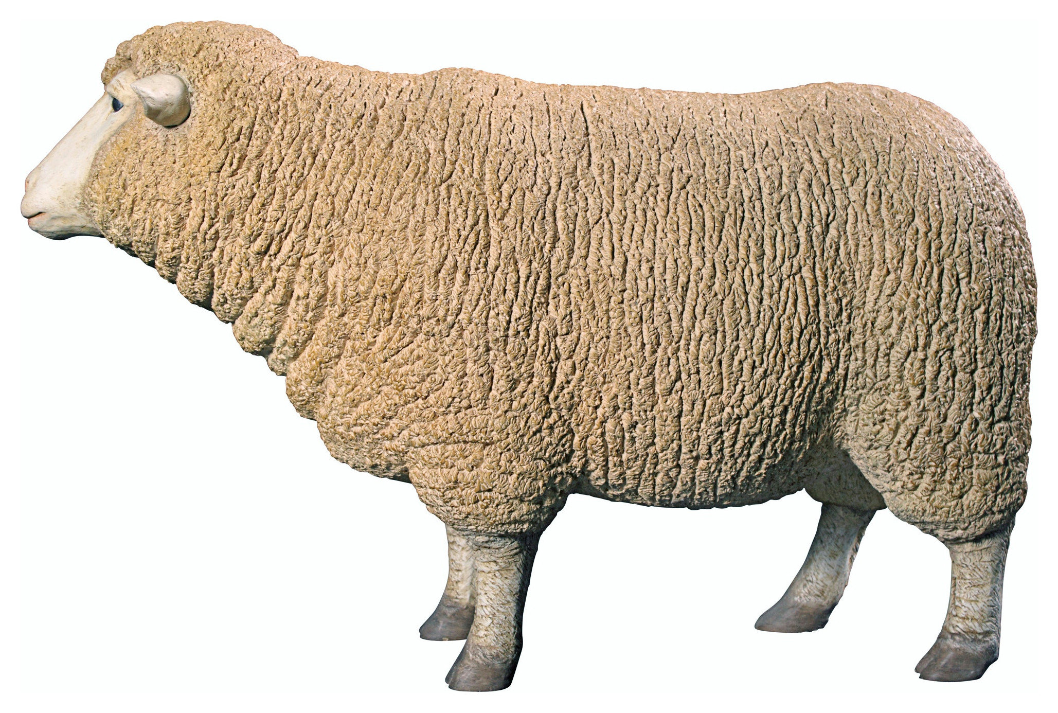 Merino Ewe With Head Up - Farmhouse - Garden Statues And Yard Art - by ...