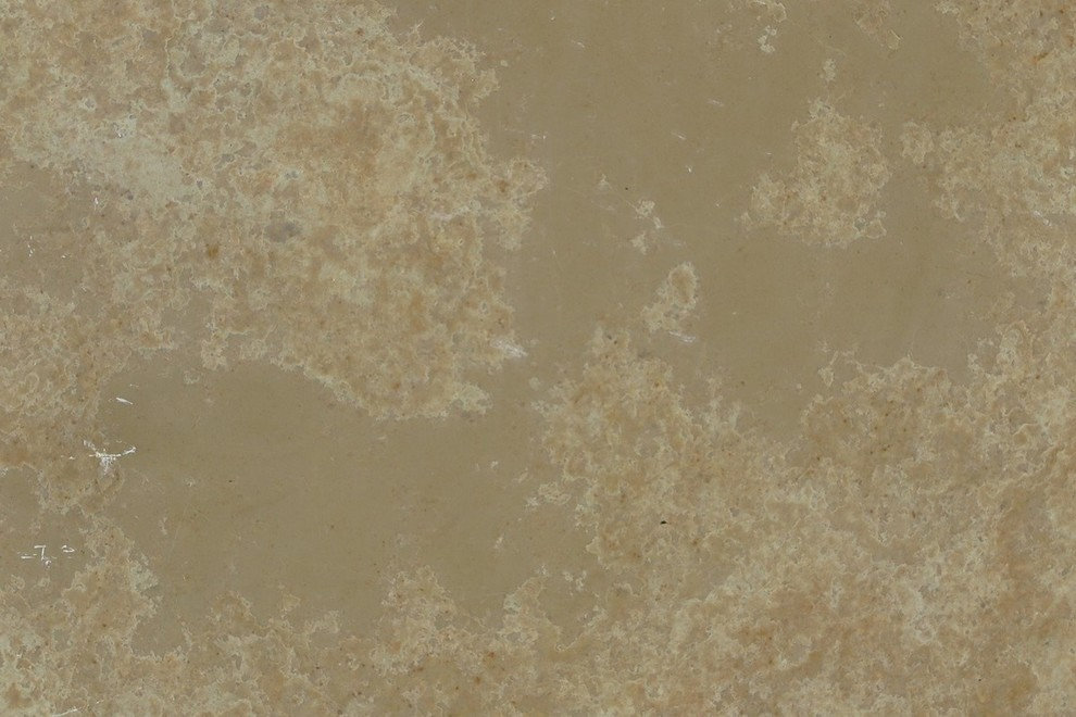 French Vanilla Limestone Tiles, Honed Finish, 24"x24", Set of 320 ...