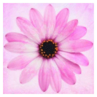 DAISY CHAIN 4 Poster Print by Taylor Greene - Item # VARPDXTGSQ008D, 12 ...