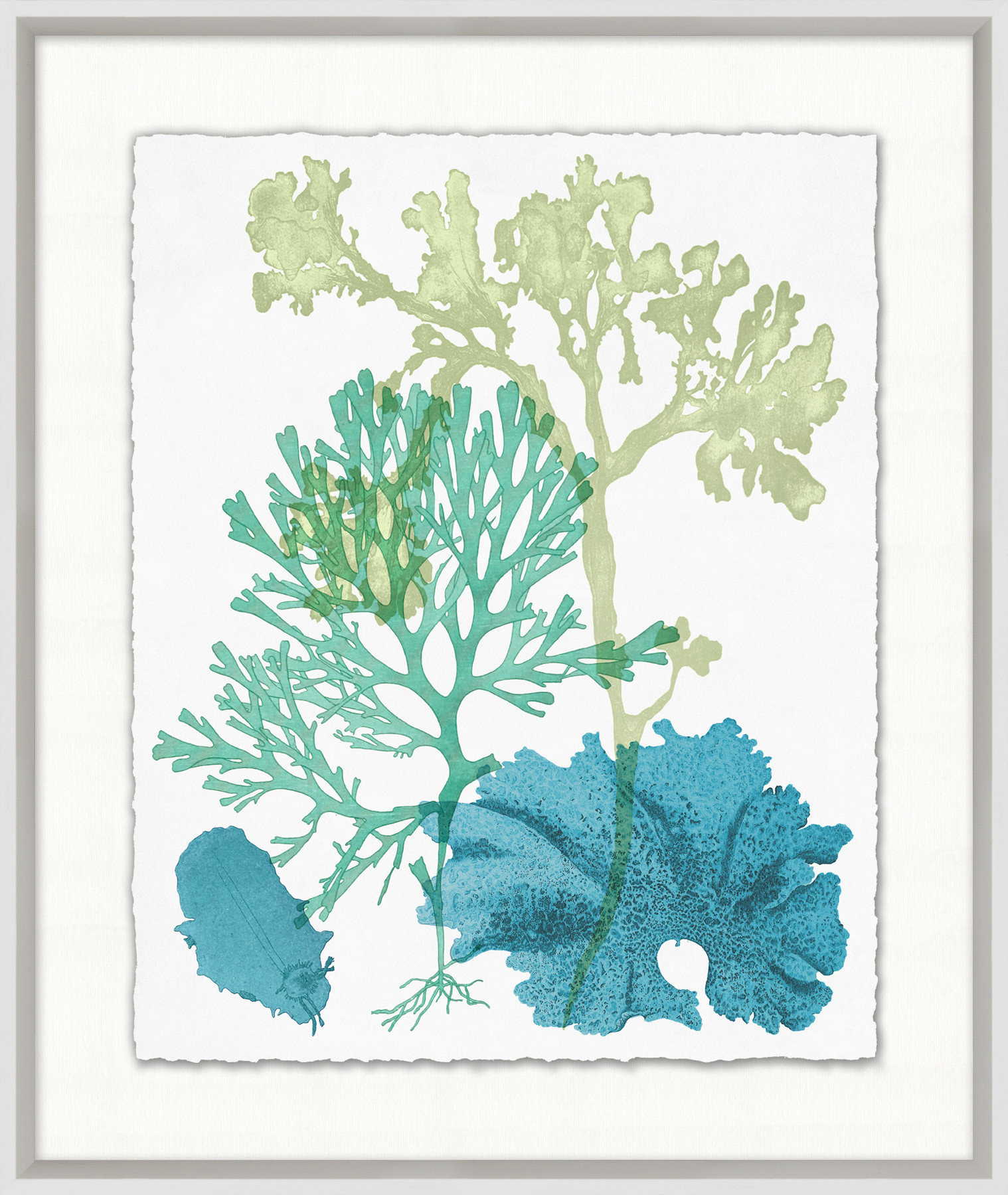 Deep Sea Kelp 7, Giclee Reproduction Artwork, 21x25 - Beach Style ...