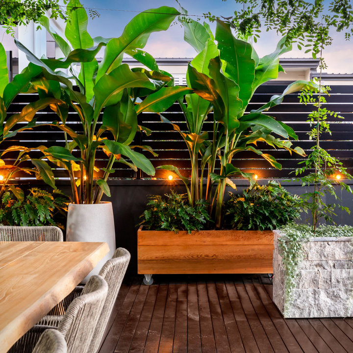 75 Tropical Metal Fence Landscaping Ideas You'll Love - December, 2024 ...