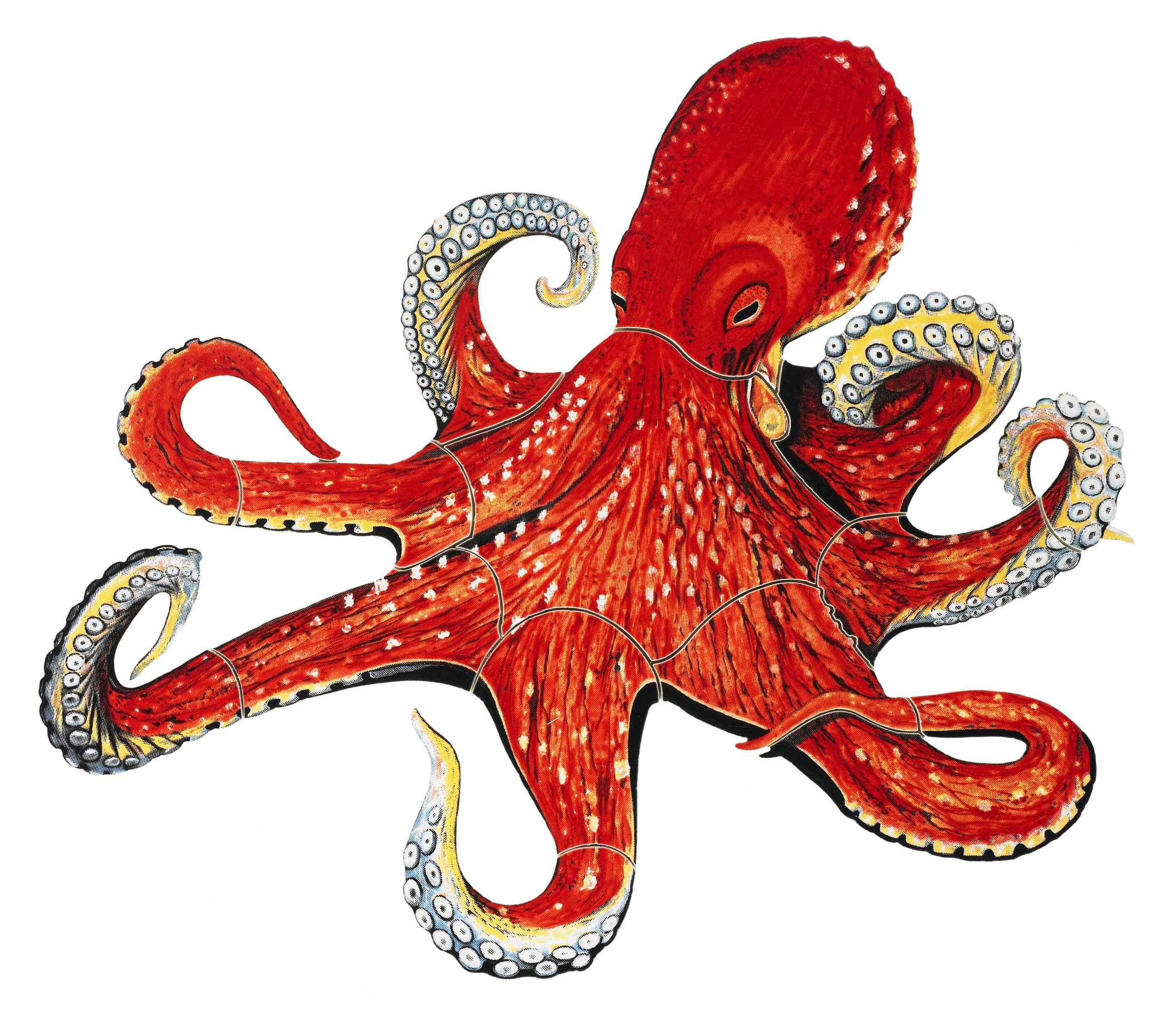 Octopus Porcelain Swimming Pool Mosaic, 24"x24" - Beach Style - Accent ...