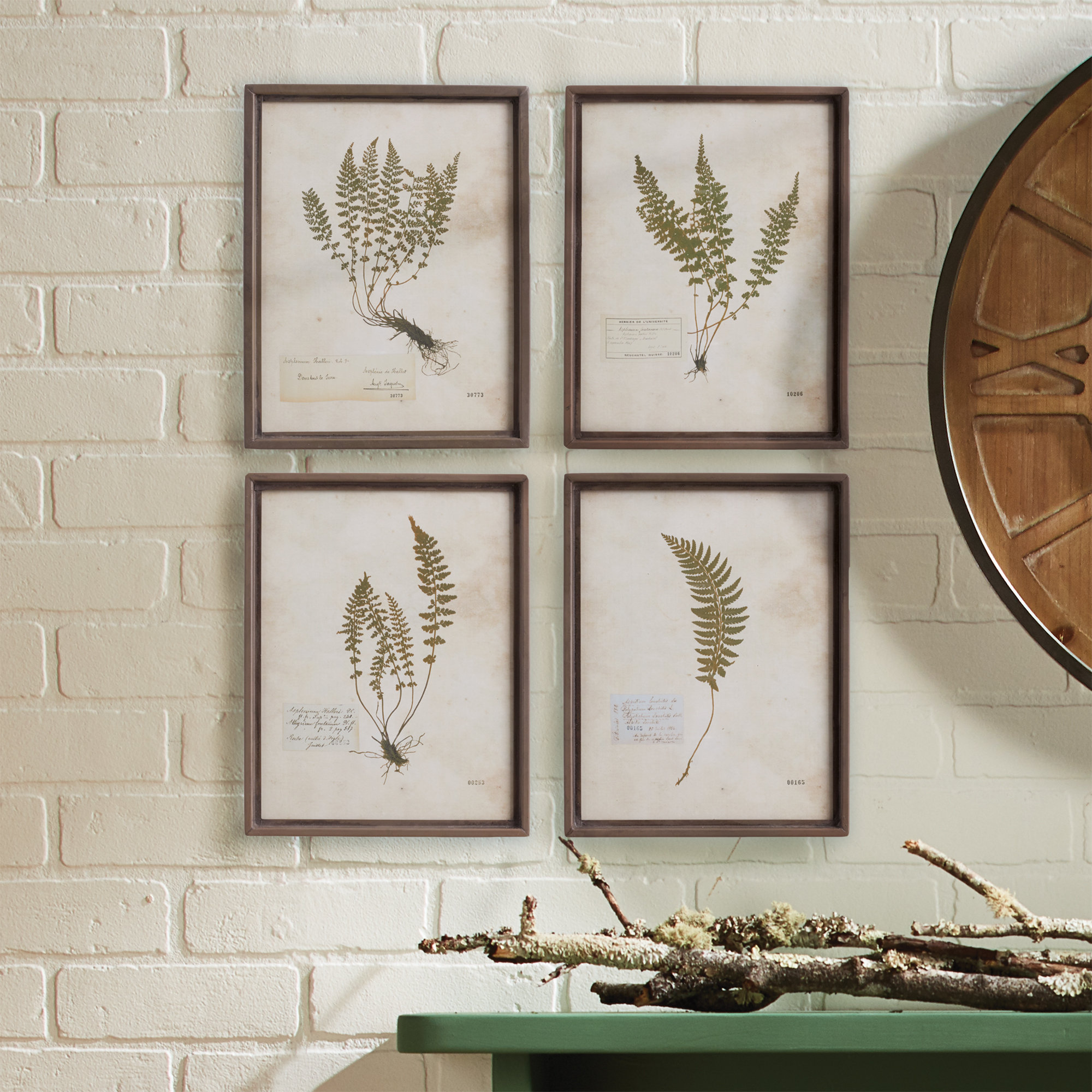 4-Piece Petite Frond Print Set - Tropical - Prints And Posters - by ...