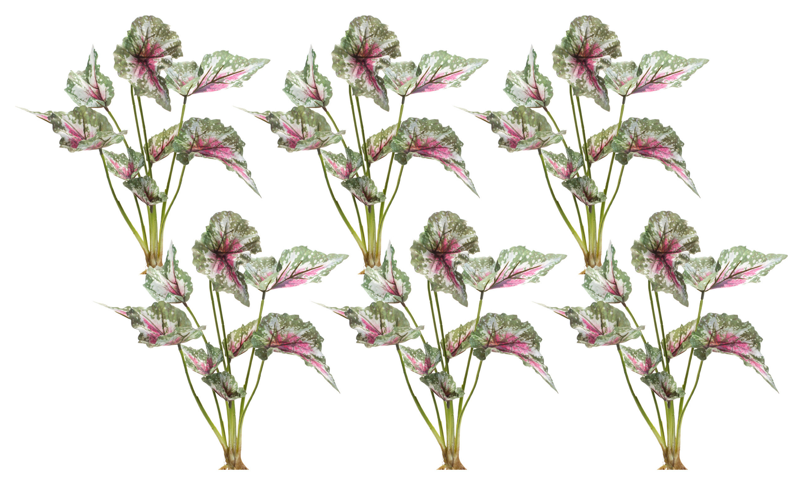 Caladium Bush, 6-Piece Set - Traditional - Artificial Flower ...