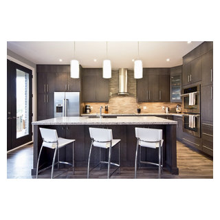 CSI All Photos - Modern - Kitchen - Chicago - by Creative Solutions ...