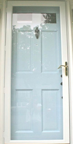 Storm door color
