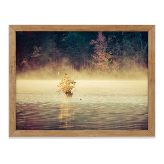 Golden Mist on Waples Pond Framed Photo Paper Wall Art Prints, 24" X 36 ...
