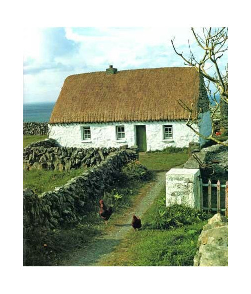 What color for an Irish Cottage feel?