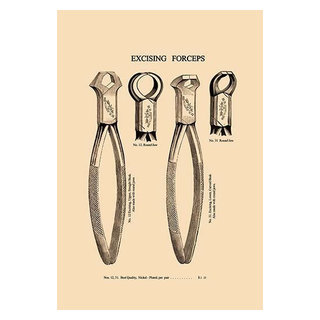 Excising Forceps, 12" x 18" - Traditional - Prints And Posters - by ...