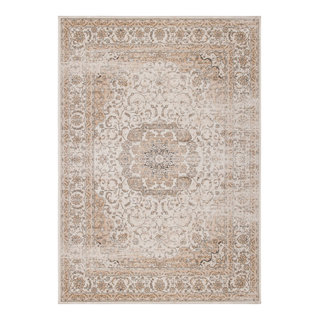 Safavieh Atlas Area Rug, ATL972, 2'7"x4' - Contemporary - Area Rugs ...