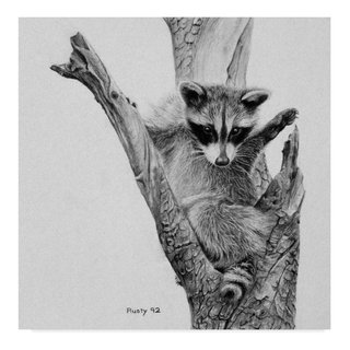 Rusty Frentner 'Bandit' Canvas Art, 14"x14" - Contemporary - Prints And ...