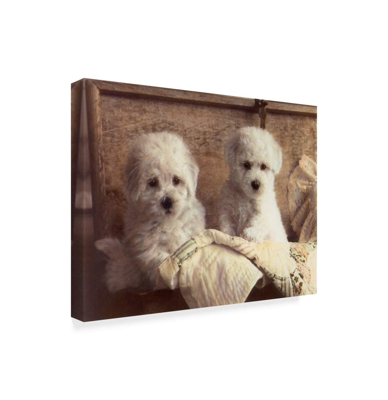 Sharon Forbes 'Twice As Nice' Canvas Art, 24"x18" - Contemporary ...