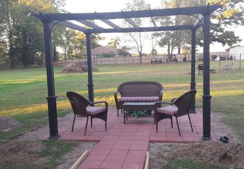 Container Plants and Trees for Pergola