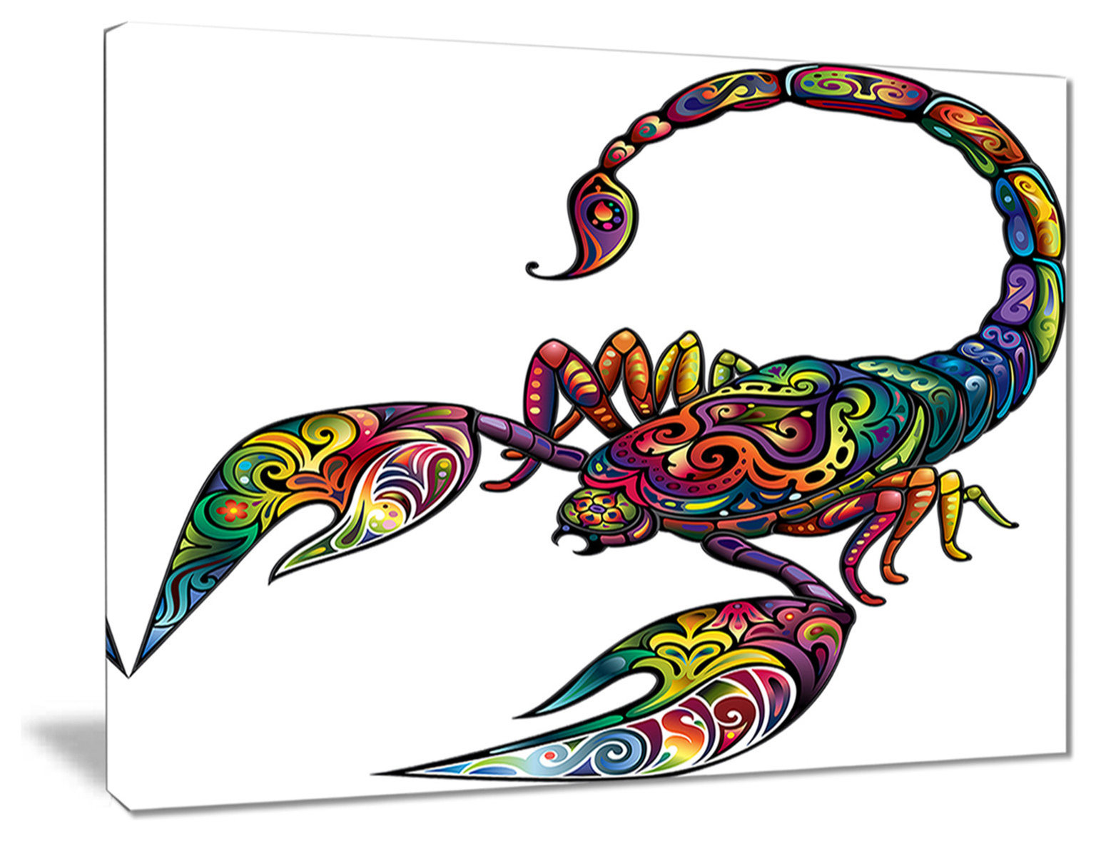 "Cheerful Scorpion" Animal Digital Canvas Print, 20"x12" - Contemporary ...