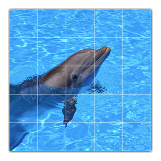 Dolphin Ceramic Tile Wall Mural HZ500496, 30" Wide x 30" High - Beach ...