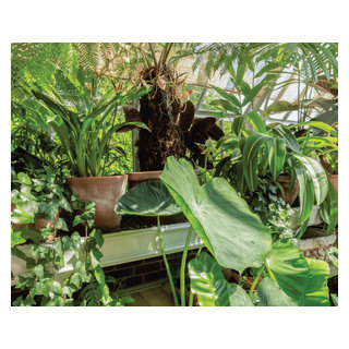 Tropical Tatton Greenhouse - Victorian - Shed - Hampshire - by Alitex ...