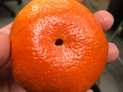 Shasta Gold, Sumo, Mandarins, oh my!