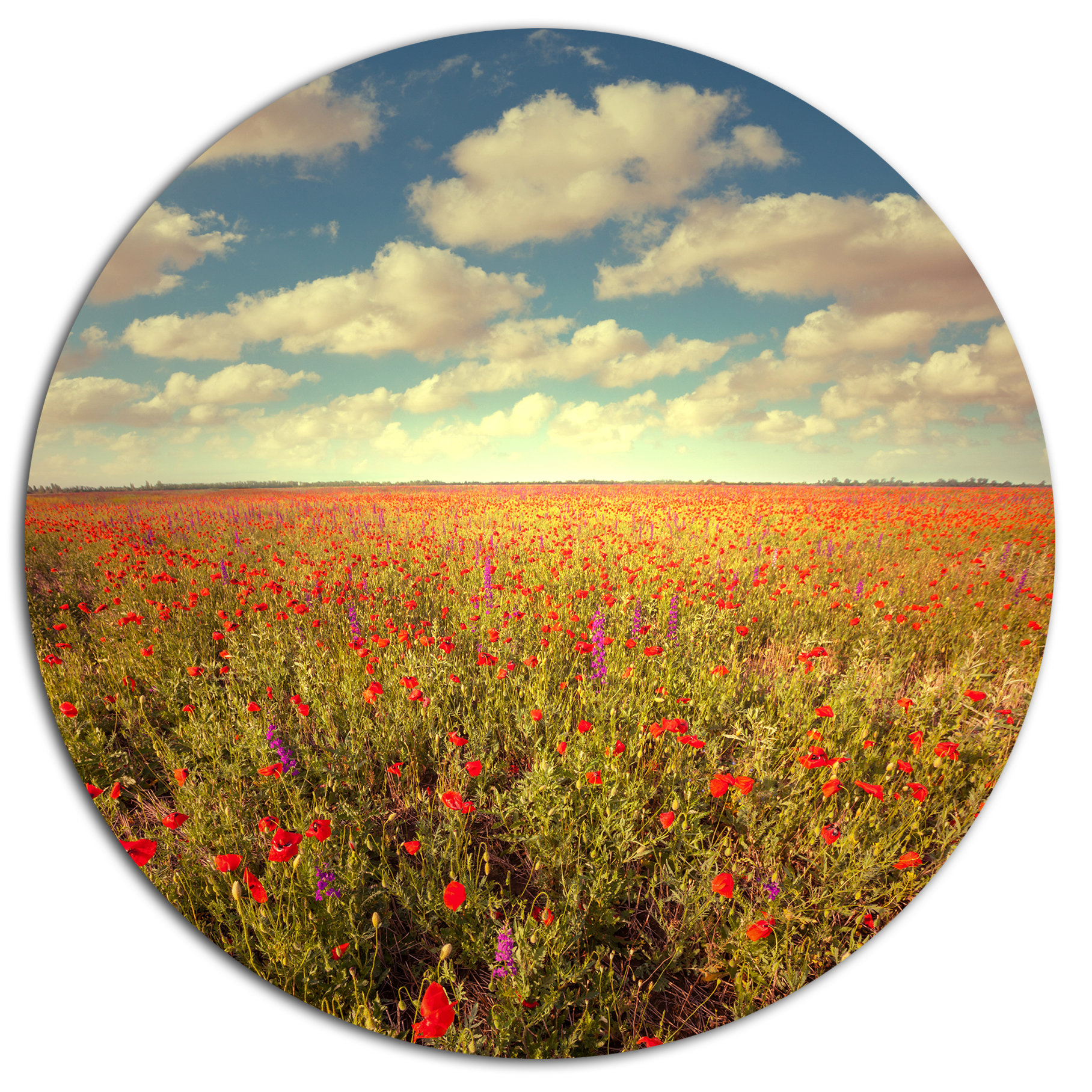 Poppy Filed Under Bright Sky, Floral Disc Metal Artwork, Disc of 23 ...