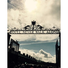 HOPKINS BUILDERS INC. - Project Photos & Reviews - Park Ridge, IL US ...