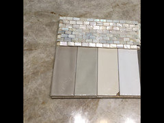 Backsplash ideas with Taj Mahal counters?