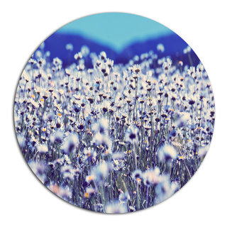 Amazing Light Blue Chamomile Blossom, Flower Round Metal Wall Art, Disc ...