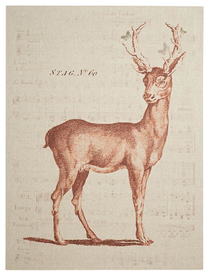 Stag No 60 Gallery, 29 x 40 - Traditional - Prints And Posters - by ...