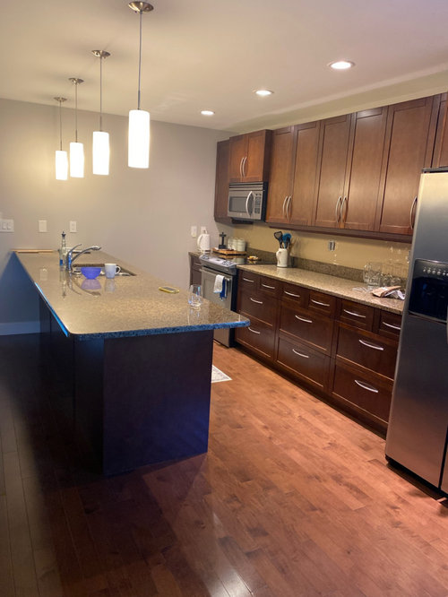 Low light large kitchen | Houzz Forum