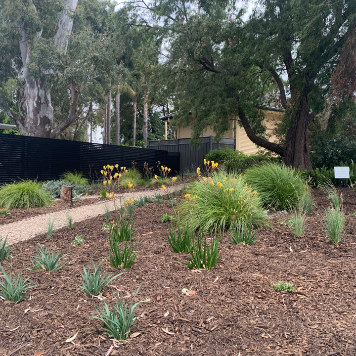 75 Beautiful Australian Native Garden Ideas & Designs - September 2025 ...