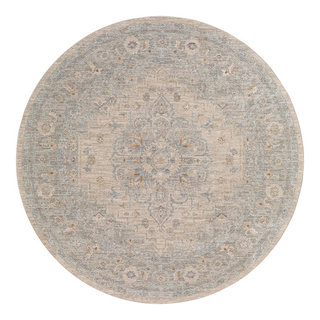 Surya Avant Garde Rug 5'3" Round, Light Gray - Contemporary - Area Rugs ...