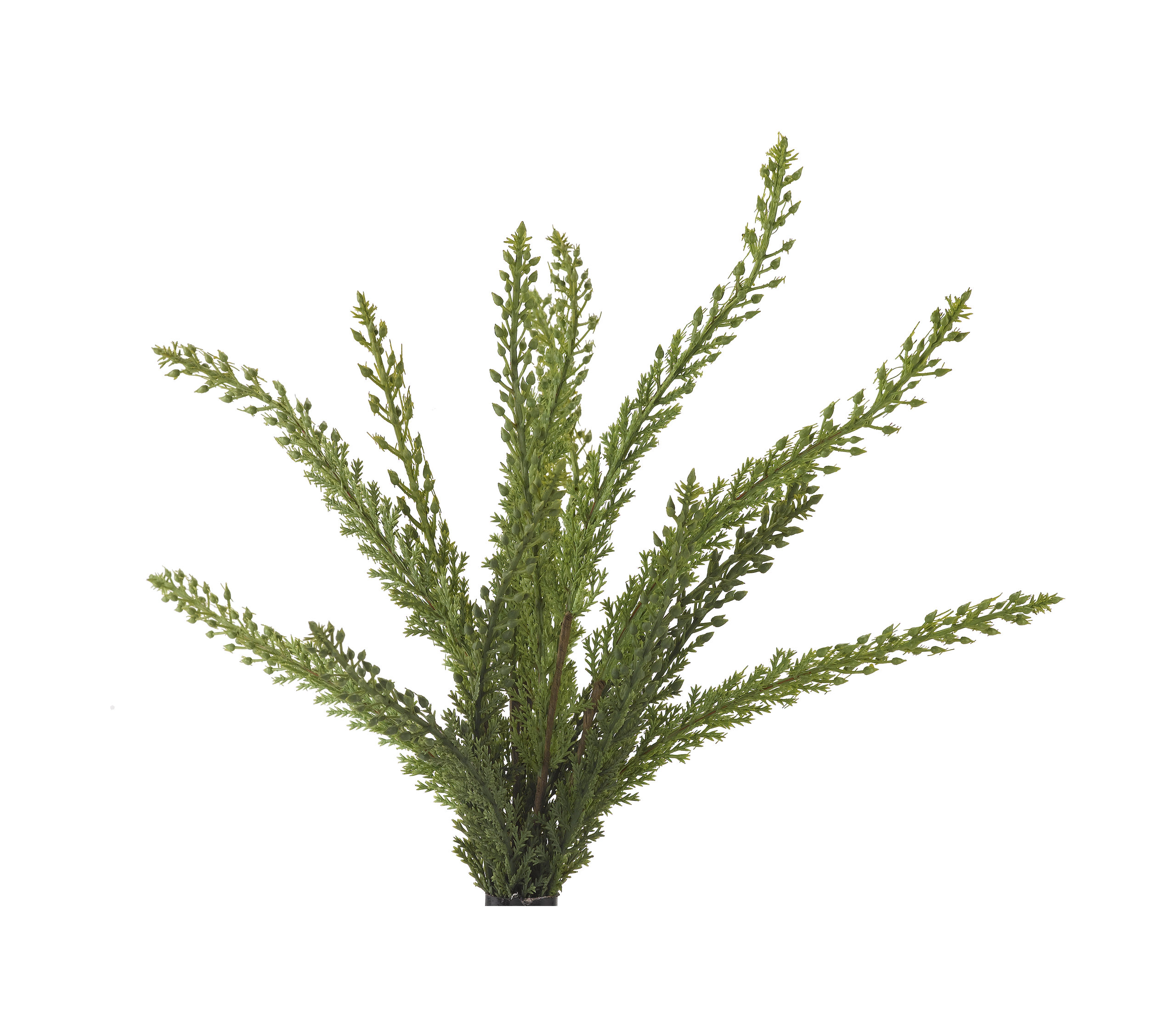 17" Heather Fern Bush, Set of 3 - Contemporary - Artificial Plants And ...